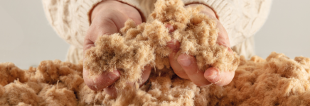 Nieuws | Koninklijke CBM